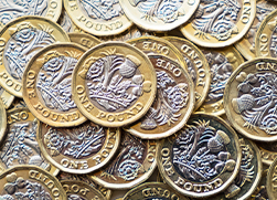 A Guide To Pound Lines | Pound Wholesale