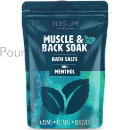 Wholesale Elysium Spa Menthol Muscle & Back Bath Salts Soak 450g ...