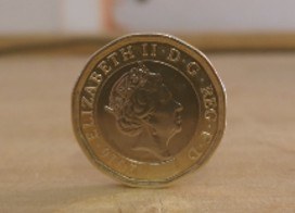 A Guide To Pound Lines | Pound Wholesale